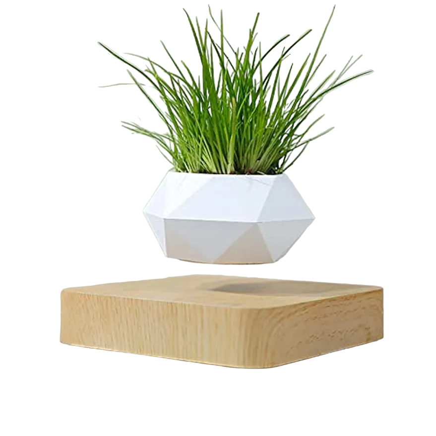 Floating Levitating Magnetic Plant Pot – Starlight Emporium